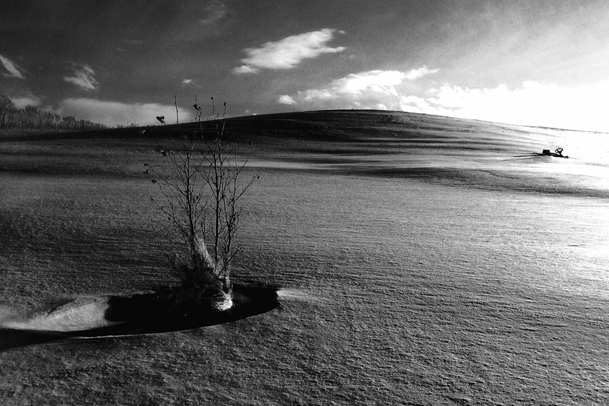 The Promise and Pitfalls of C-92: An Act respecting First Nations ...